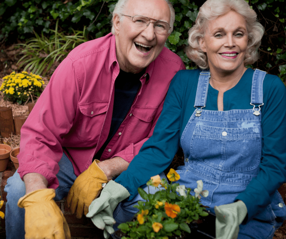 Transfer Master. Beds